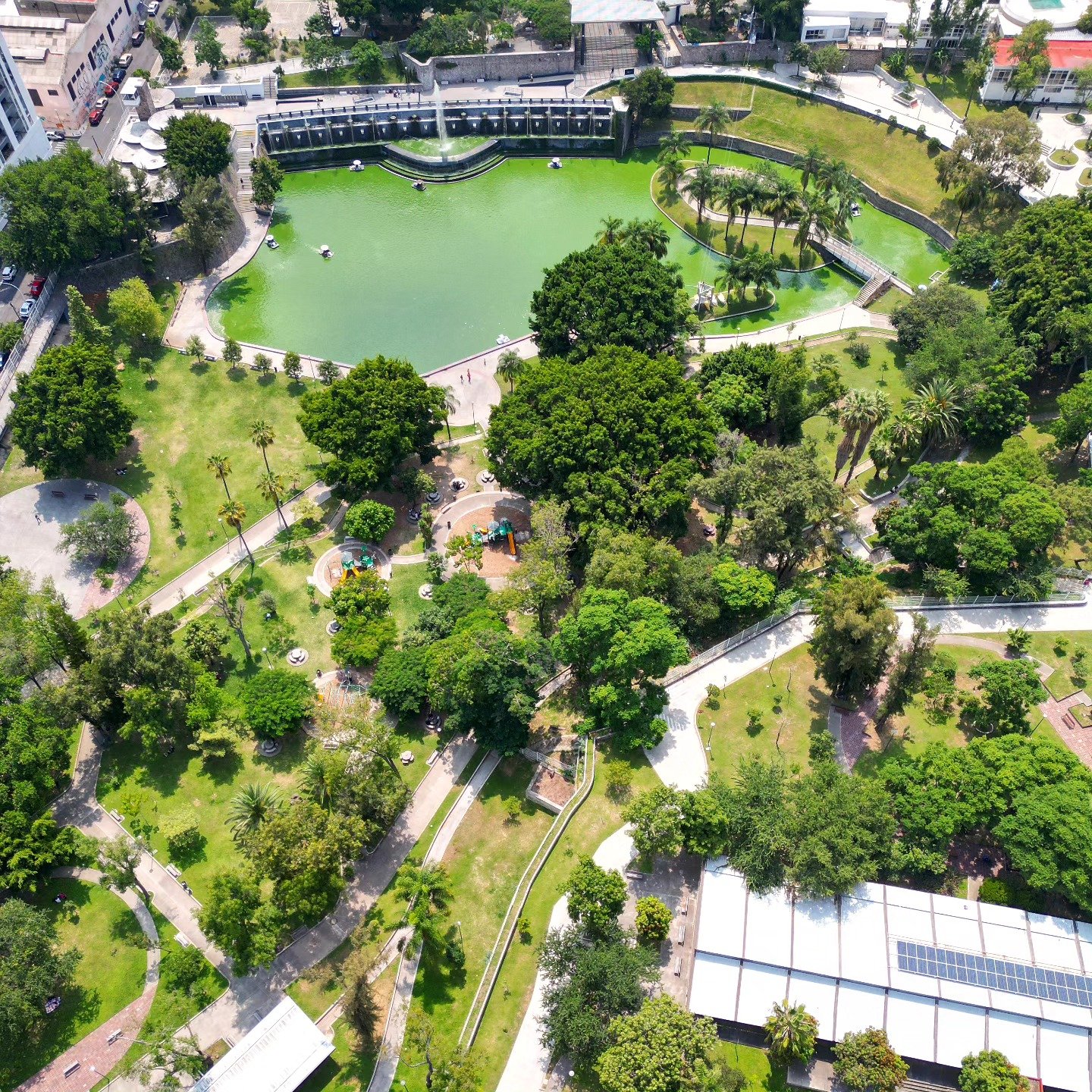 Volando sobre el parque Alcalde de Guadalajara - Drondeando